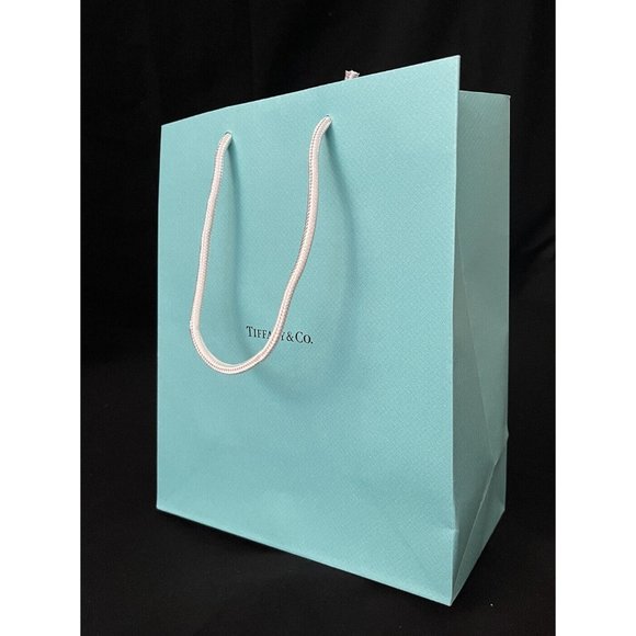Tiffany & Co. | Bags | Tiffany Co Paper Reusable Shopping Bag Rope ...